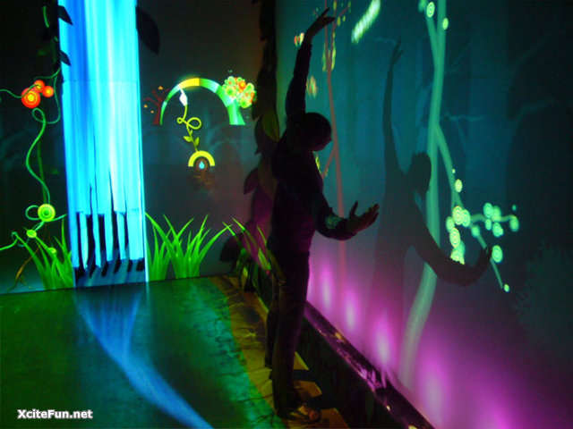 Funky Forest - XciteFun.net Funky Forest - XciteFun.net