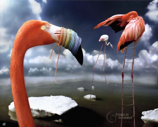 Surreal Art Collection......Amazing and Stunning - XciteFun.net