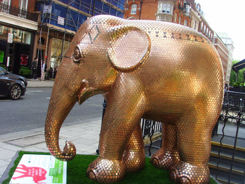 Baby Elephant - The Painted Parade - XciteFun.net