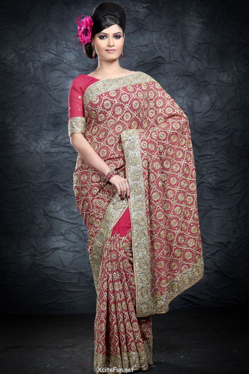 Perfect Heavy work Saree for Bridal Wear - XciteFun.net