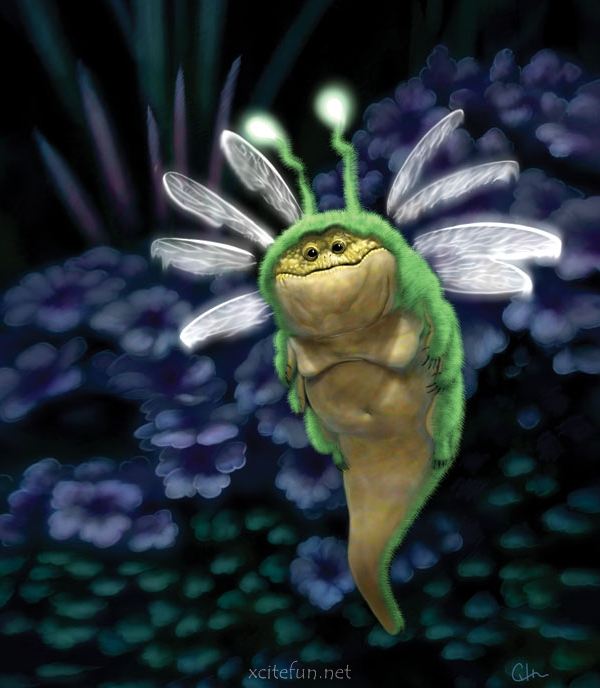Amazing Impossible Creatures - XciteFun.net